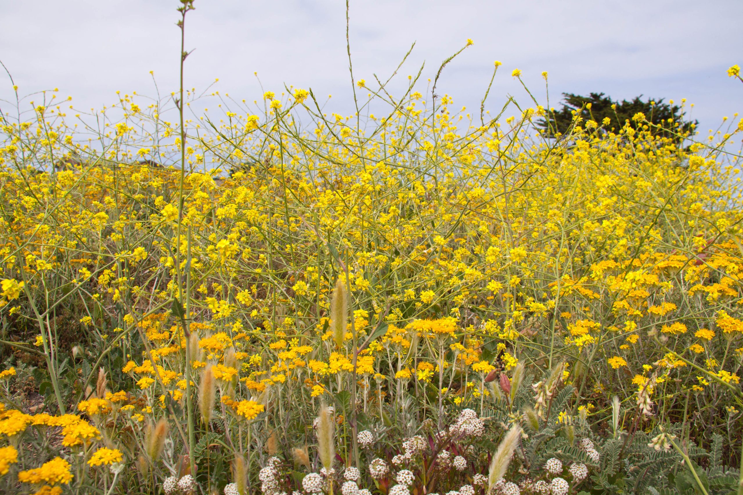 Liminal Leadership – Kosmos Journal