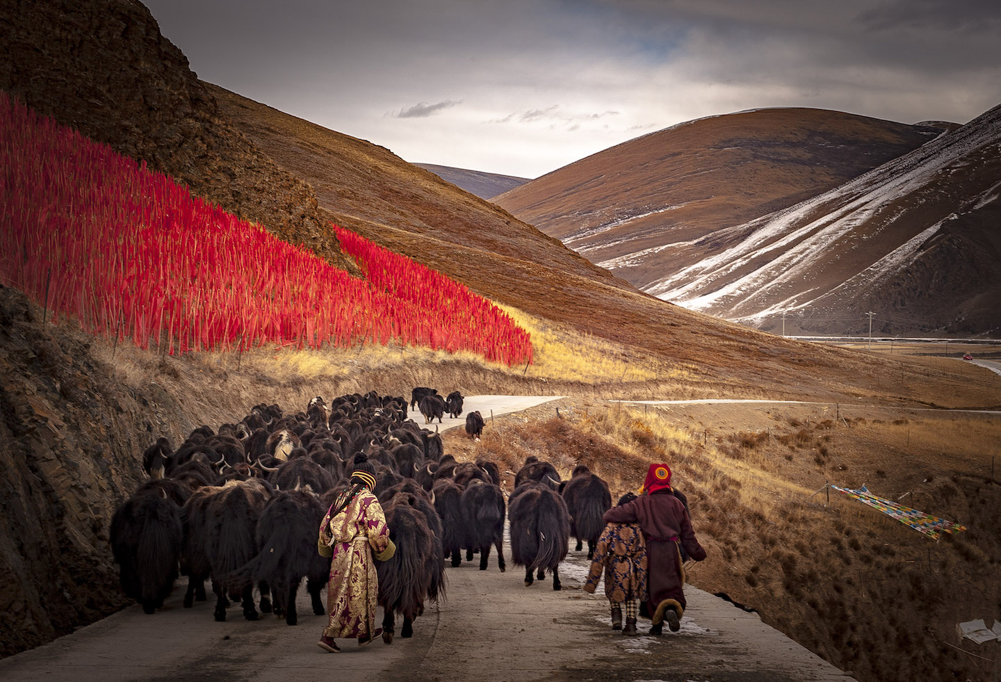 Guardians of the Sacred in Tibet – Kosmos Journal
