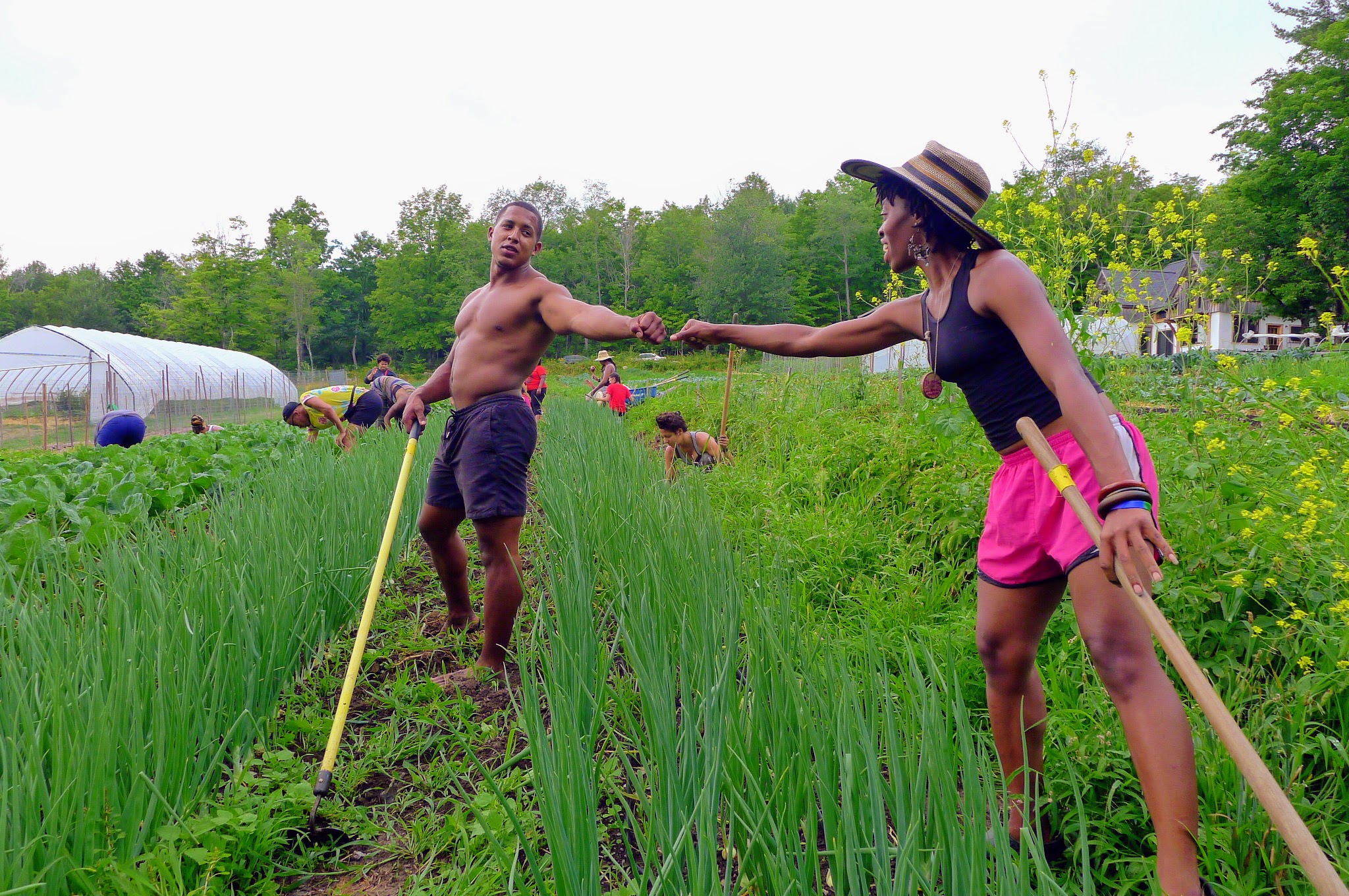 Farming While Black – Kosmos Journal