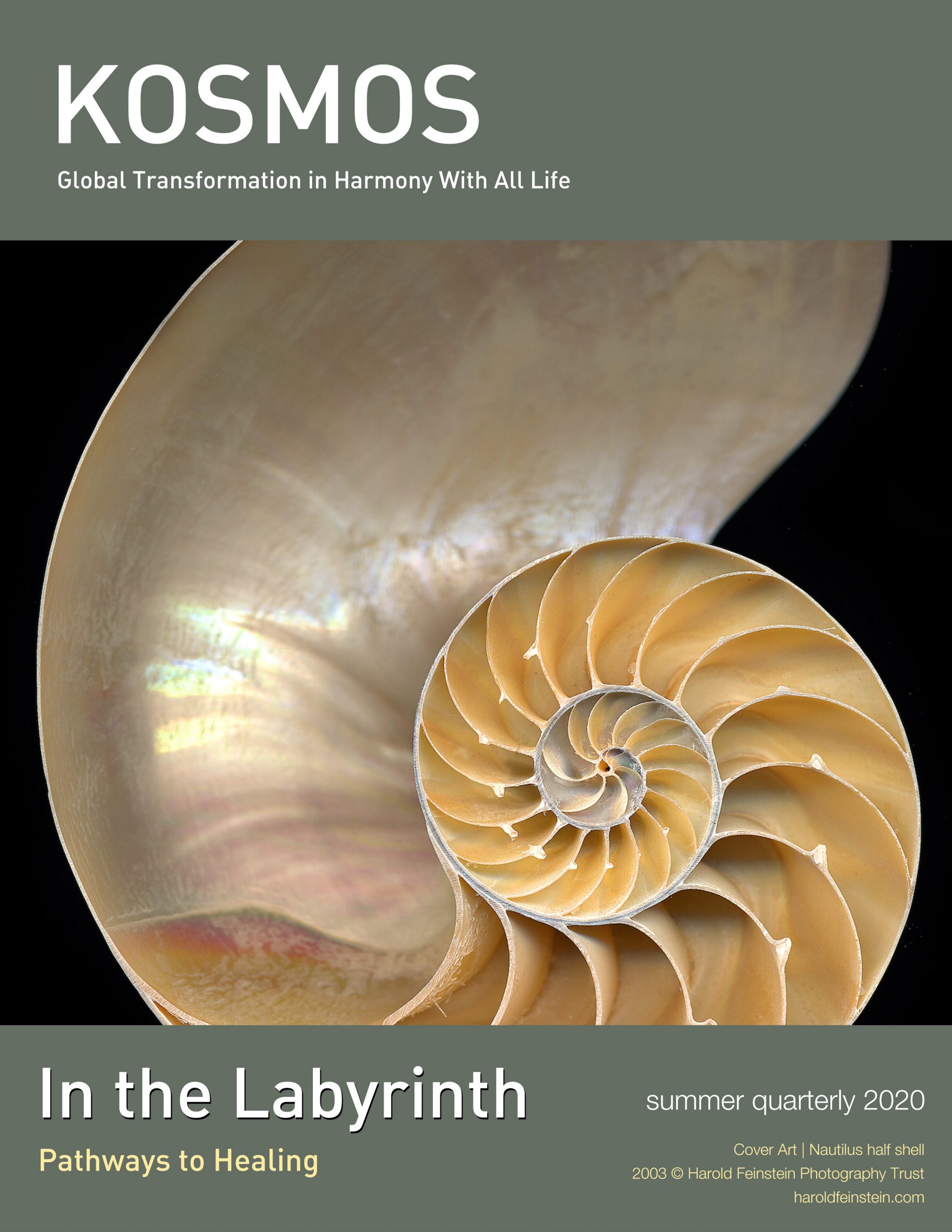 Kosmos Spring 2020 Gallery of Poets – Kosmos Journal