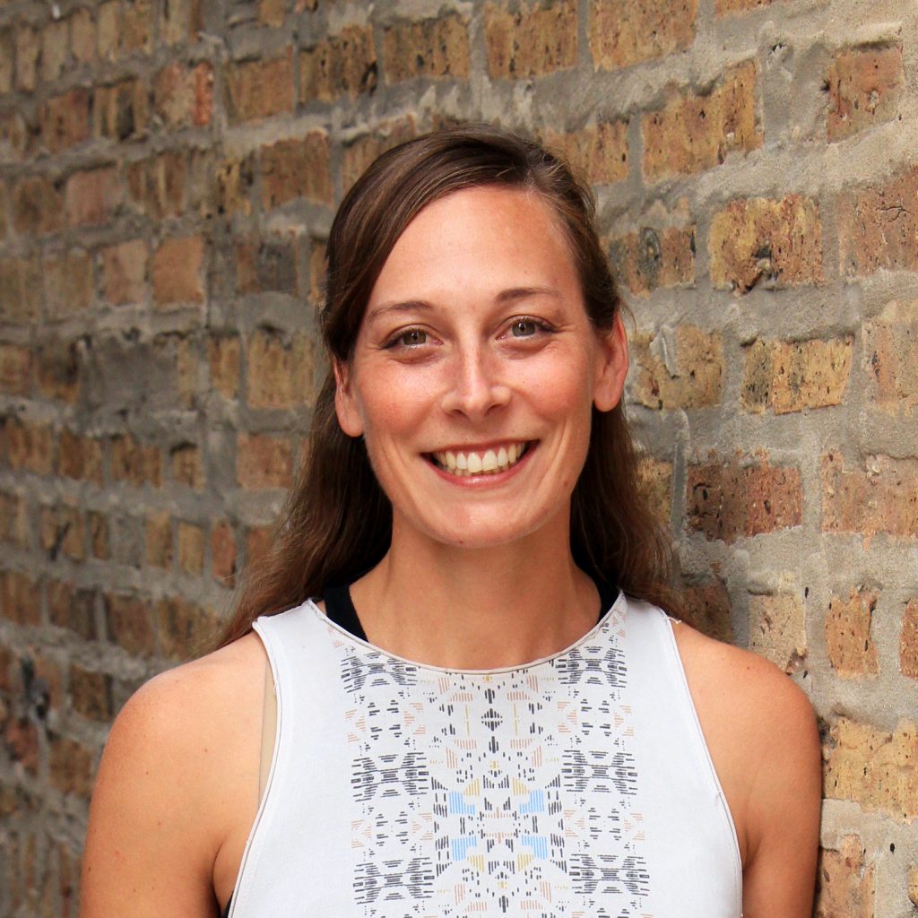 The Holomovement – Kosmos Journal