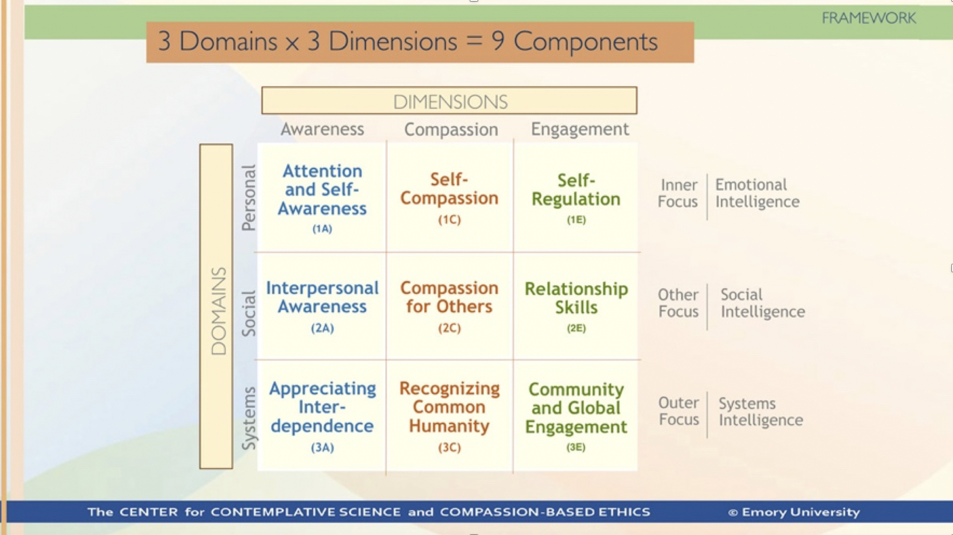 Transformative Social and Emotional Learning (SEL) as a Catalyst for ...