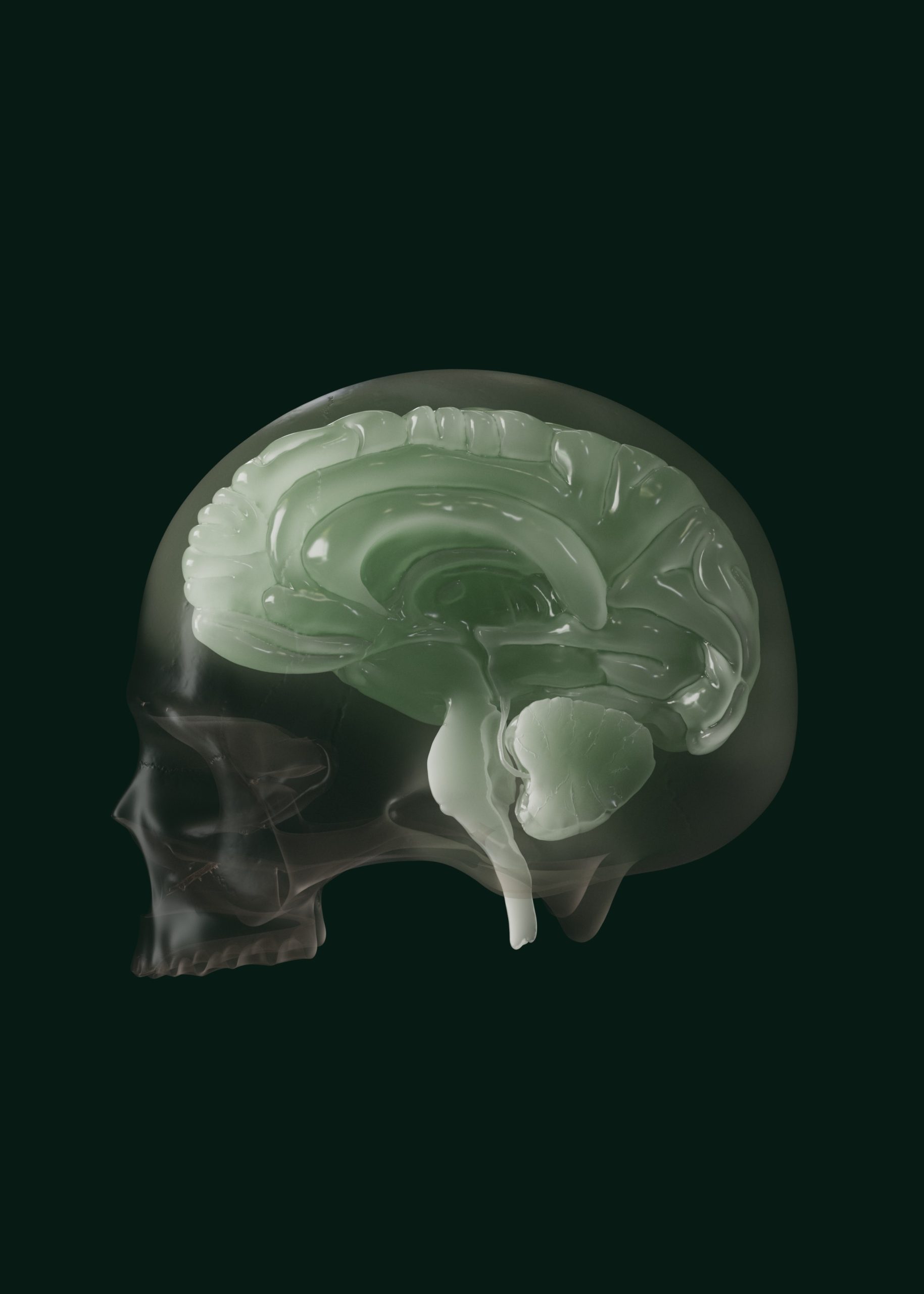 Red And Green Brain