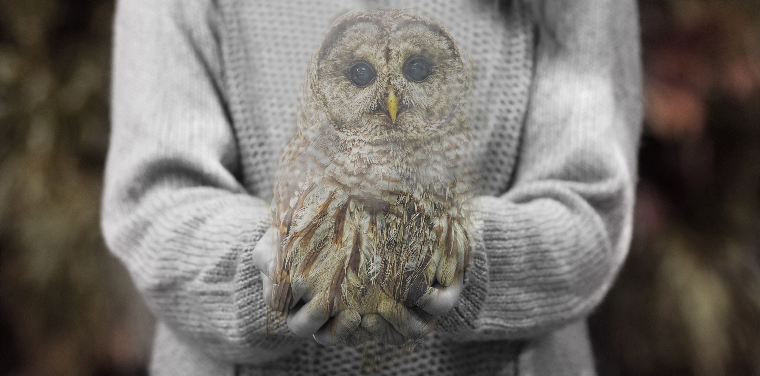 Crone Wisdom | The Soul of Community – Kosmos Journal