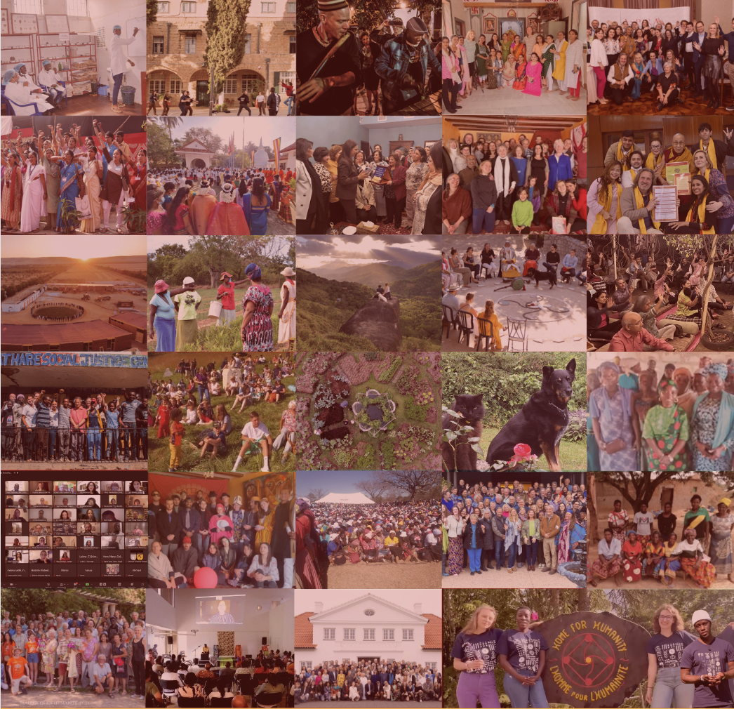 The One Home Journey | Seven Years for Seven Generations – Kosmos Journal